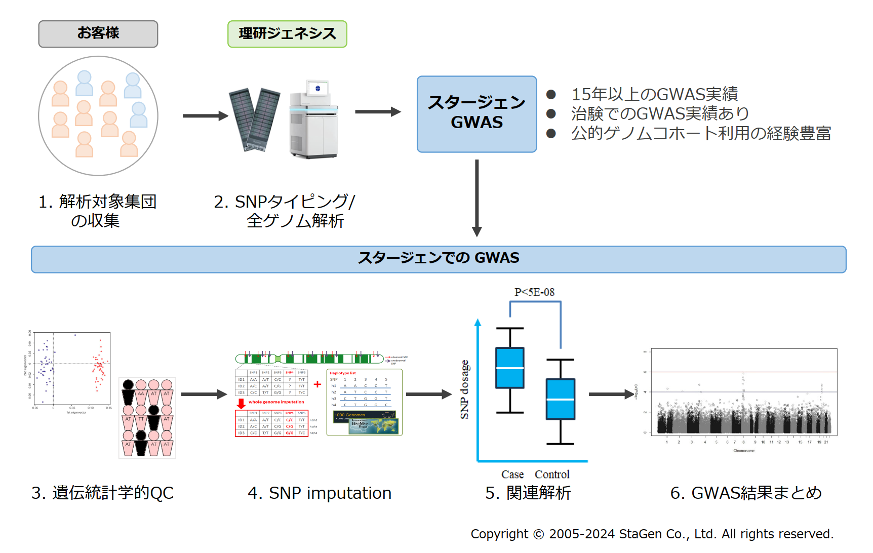 BI解析_ゲノムワイド関連解析_GWAS┃理研ジェネシス