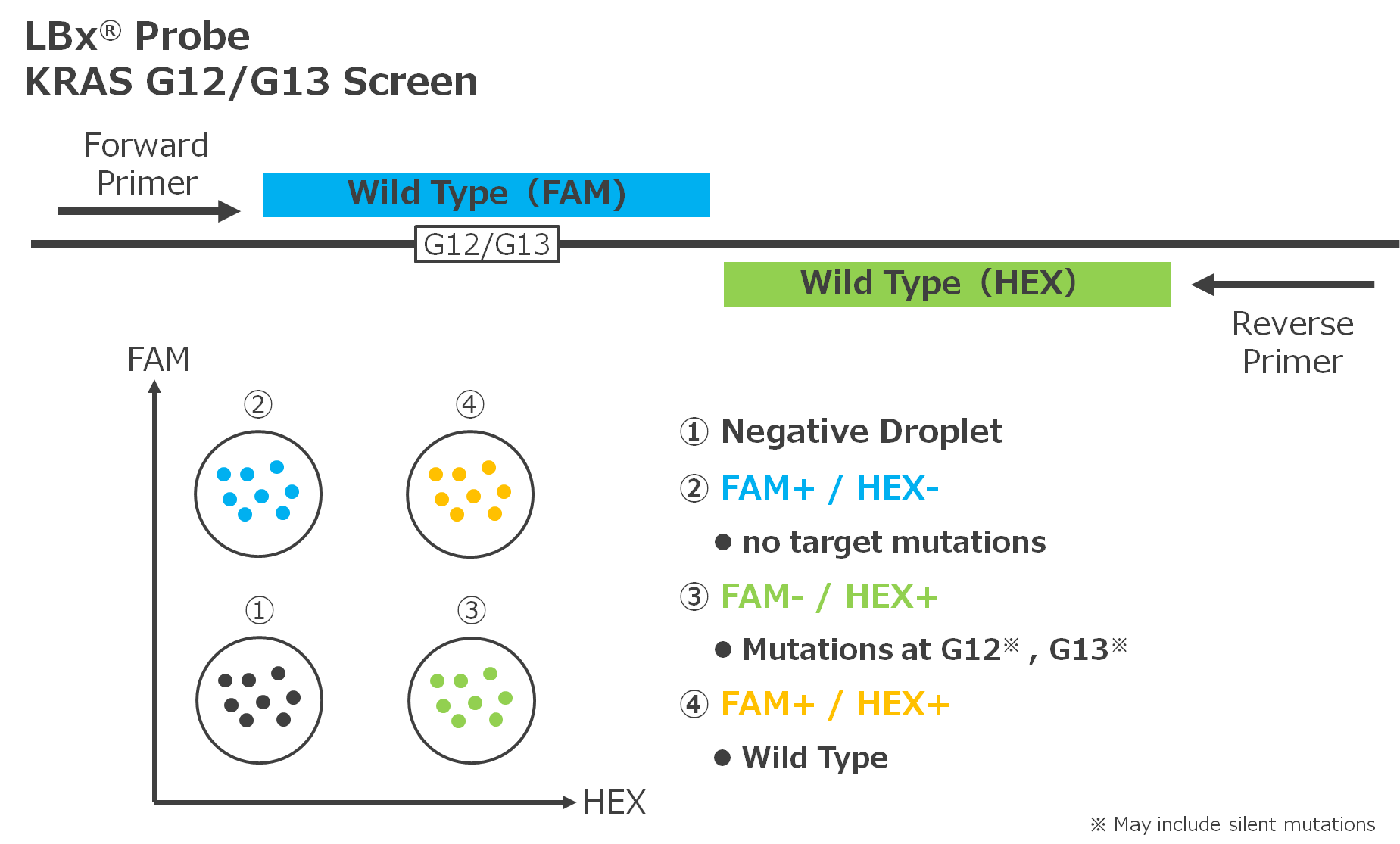 LBx Probe KRAS G12/G13 Screen┃理研ジェネシス